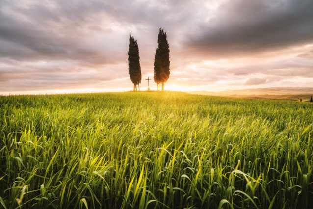 4 consejos para fotografía de paisaje en formato vertical - Foto24