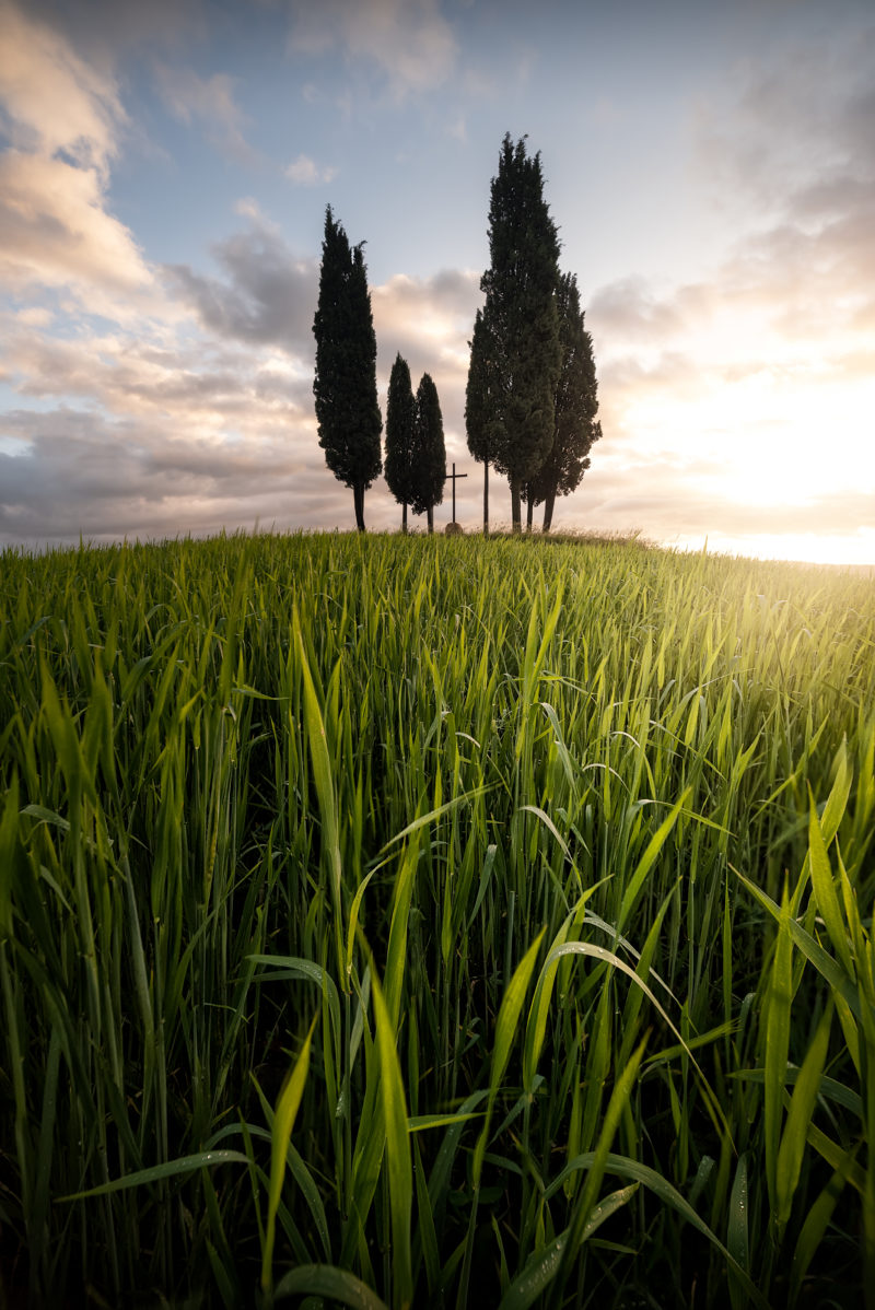 Guía para planificar una sesión de fotos impactante - Foto24