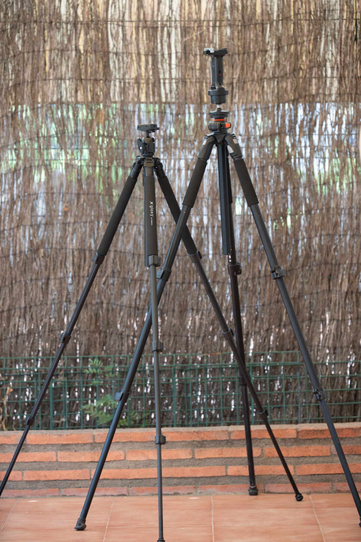 Mi primer trípode: Aspectos básicos que hay que tener en cuenta - Foto24