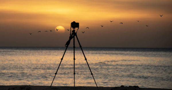 Mi primer trípode: Aspectos básicos que hay que tener en cuenta - Foto24