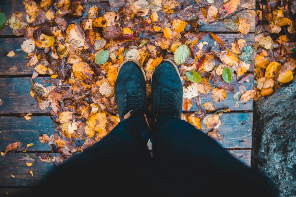 15 ideas creativas para fotografiar el otoño - Foto24