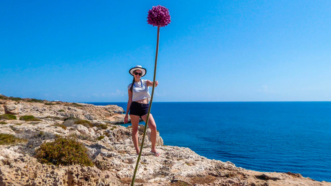 Fotografía de Perspectiva Forzada: Guía esencial - Foto24